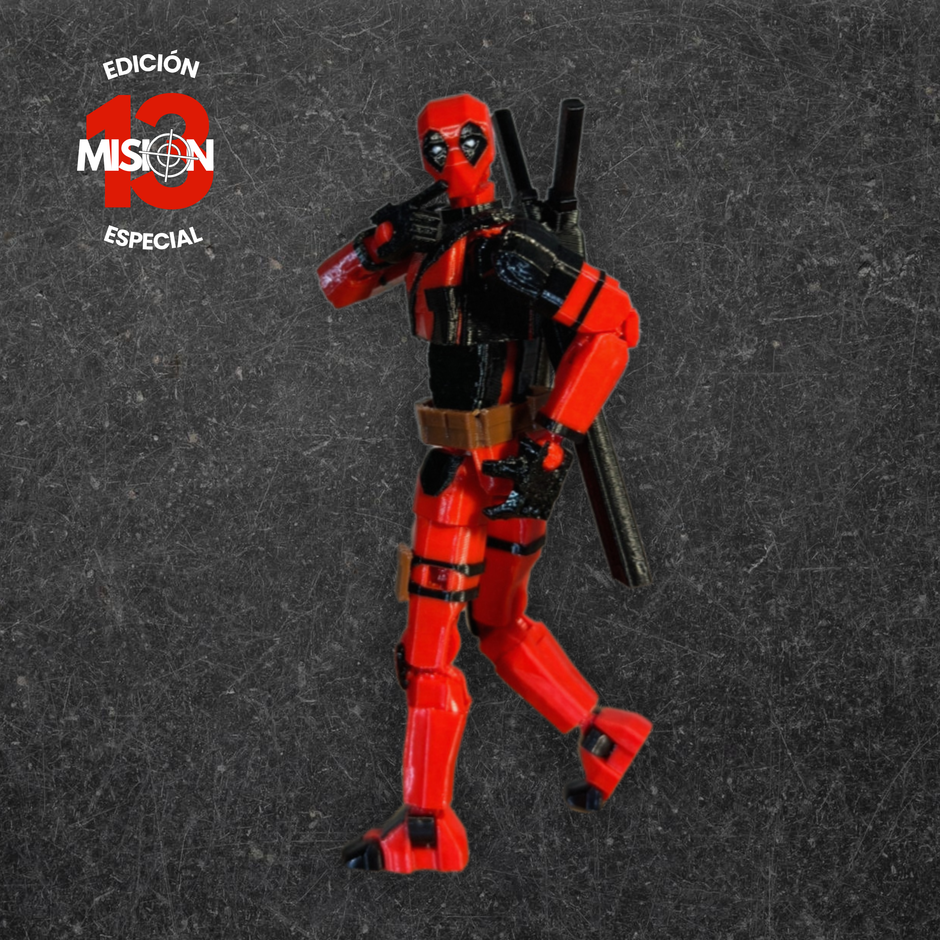 ICONOS – MISIÓN13